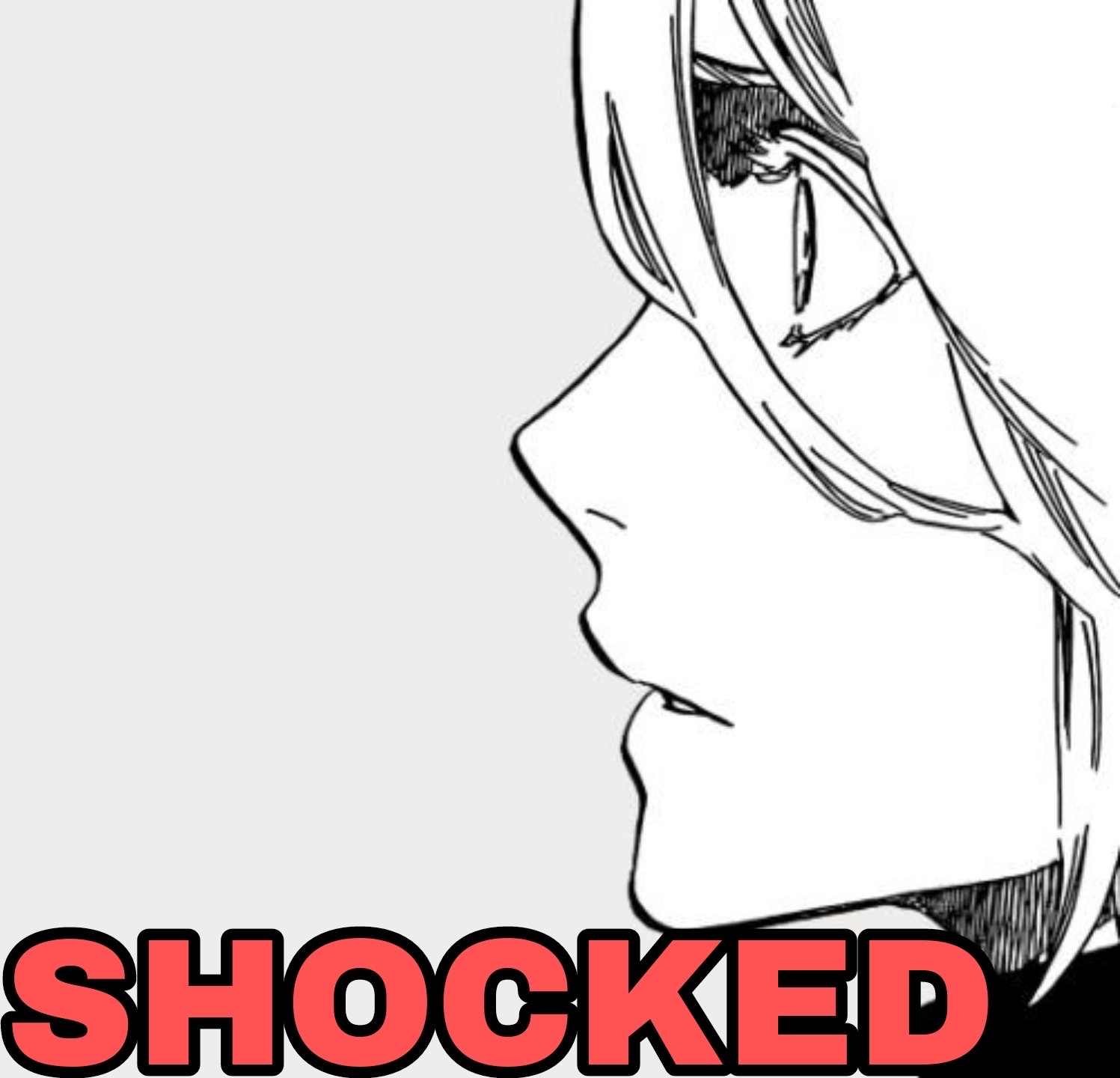 Hitman x Family fanfic, a Hitman x Family Story Read for Free - WebNovel